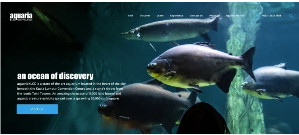 7 Dynamic Website Design Styles to Elevate Your Online Presence - Web ...